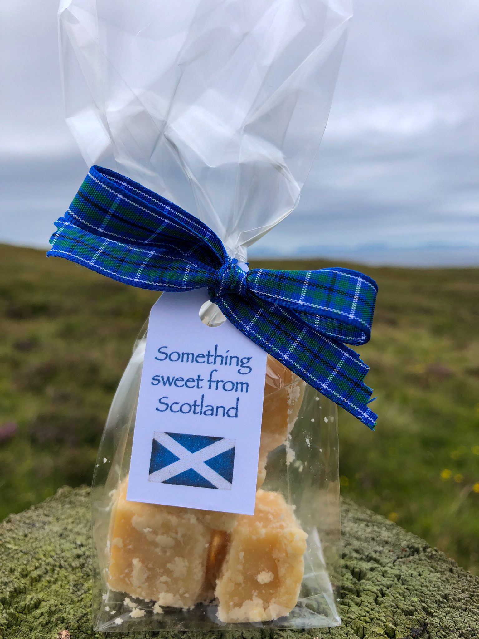 Something Sweet from Scotland Homemade Scottish Tablet Favour Bags ...