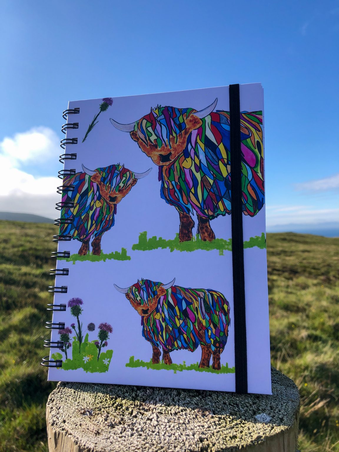 Colourful Highland Cow Notebook - Highland Favours from Isle of Skye