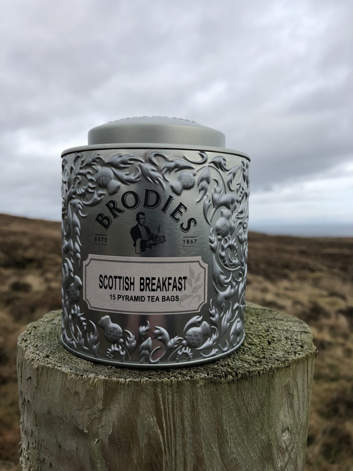 Thistle Embossed Tea Caddy with Scottish Breakfast Tea - Donnie's ...