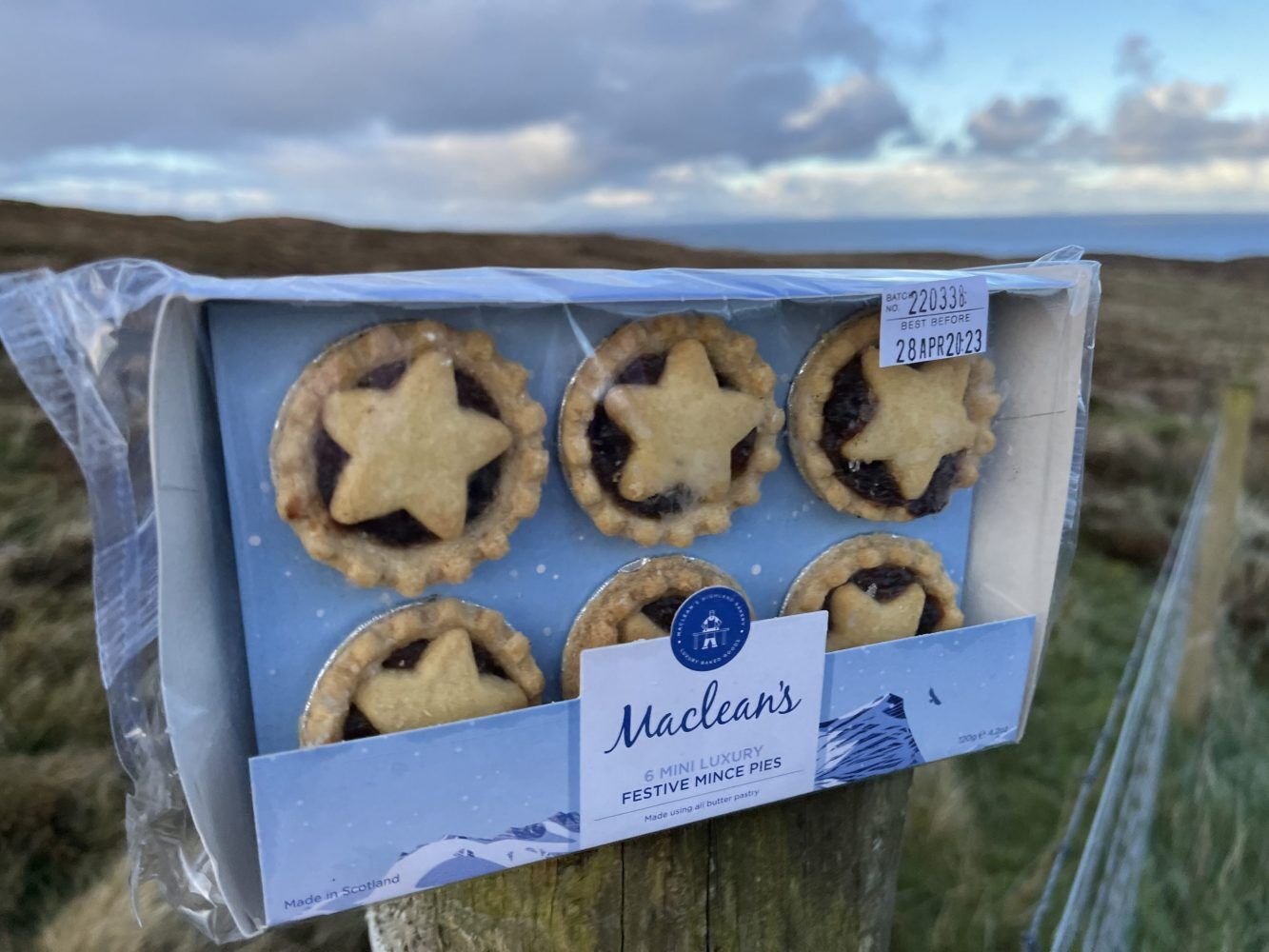 MacLean's 6 Mini Luxury Festive Mince Pies - Highland Favours from Isle ...